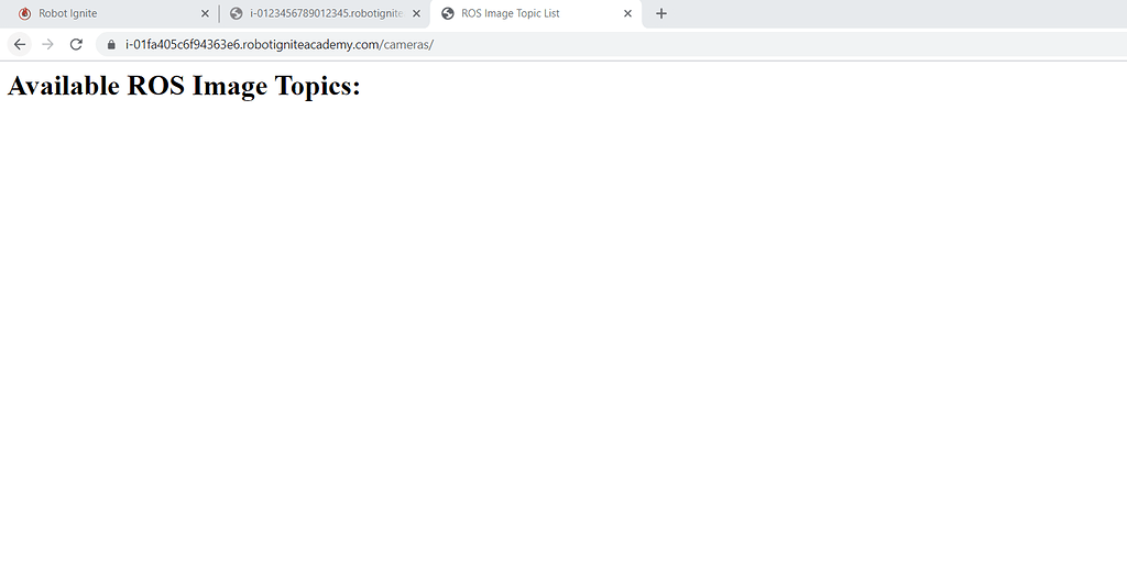 No Streaming from Camera - Developing Web Interfaces For ROS - The Construct ROS Community
